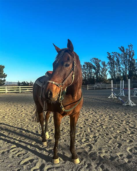 Amber Pearson Amber Lynn Pearson • Instagram Photos And Videos