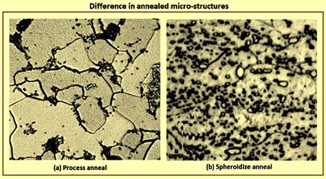 Steel Annealing Microstructure Types Complete Information