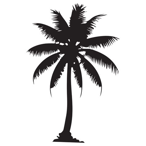 Collection Tree Silhouette Transparent Png 36271318 PNG