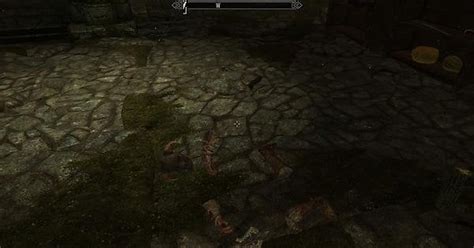 Does Anyone Know Why This Is Happening To Enemies Bodies Deadly Mutilation Mod R Skyrim