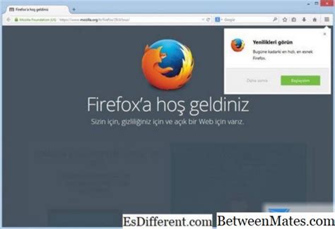 Mozilla Firefox и Internet Explorer ИНТЕРНЕТ 2024