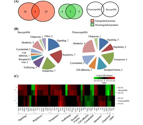 Differential Expression Analysis Of Hippocampal Psd Associated