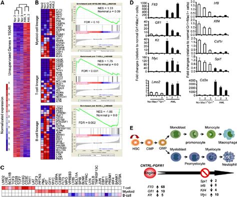Rnaseq Analysis Identifies Gene Expression Profile