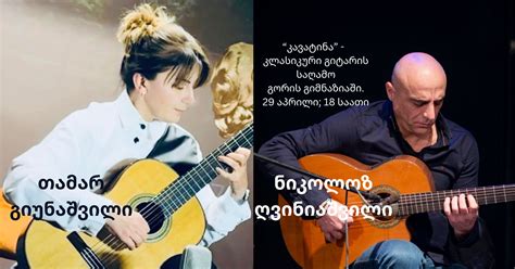 კავატინა კლასიკური გიტარის საღამო