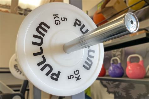 Pullum Branded 5kg Technique Disc Pair Pullum Sports
