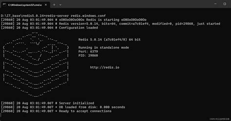 Redis闪退的三大解决办法（windows版本）