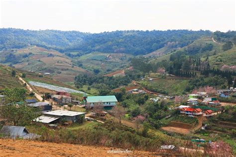 บ้านร่องกล้า จังหวัดพิษณุโลก แนะนำที่กิน ที่พัก ที่เที่ยวภูลมโล