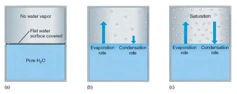 2 A Hypothetical Experiment Download Scientific Diagram