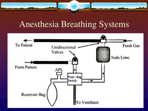 Closed Circuit Anesthesia Ppt At Mary Bevis Blog