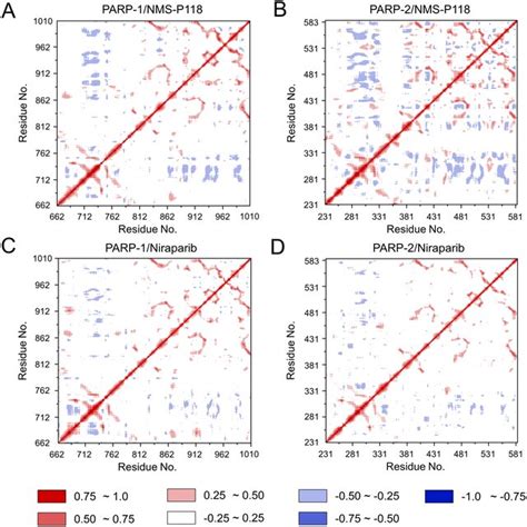 Dcc Analysis From The 800 Ns Classical Md Simulations A
