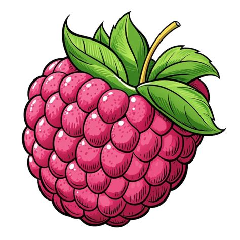 Juicy Raspberry Fruit Vector Graphic Design Premium Ai Generated Vector