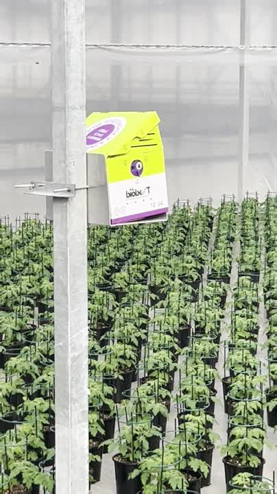 Brian Sioen On Linkedin Pollinators Have Arrived