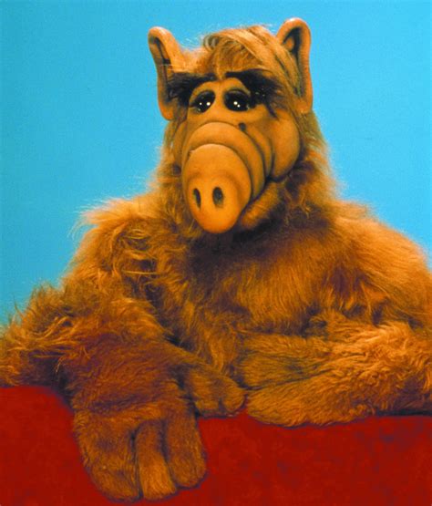 Alf Is Coming Back Exclaim