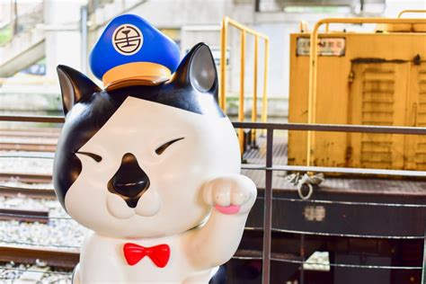走到哪都有貓的貓奴聖地！猴硐貓村一日遊景點必吃美食 Skyticket旅遊指南