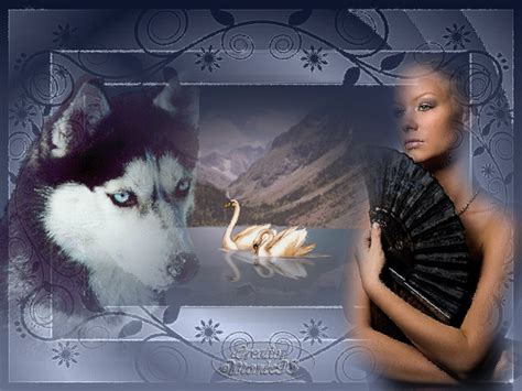 Bienvenue Chez La Ch Ti