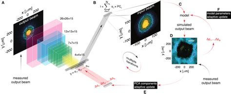 The Setup Of An Online Model Together With An Adaptively Tuned Cnn For Download Scientific