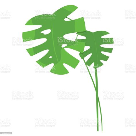 백 배경에 몬스타 공장 자연 또는 여름 시간 전단지 카드 스티커 포스터 및 기타 웹 및 인쇄용입니다 벡터 일러스트레이션 0명에