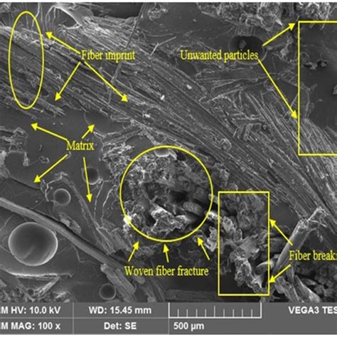Sem Of 2 Treated Composite Specimen Download Scientific Diagram