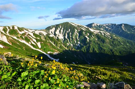 【白馬岳の絶景撮影登山】花の百名山白馬岳にて朝陽の中でお花畑と残雪の稜線が美しかった 山岳写真ブログ『カメラと山、ときどき星』