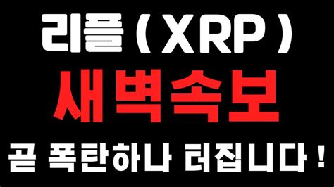 리플코인 새벽속보 곧 폭탄하나 터집니다 불독코인비트코인급등코인코인단타 Youtube