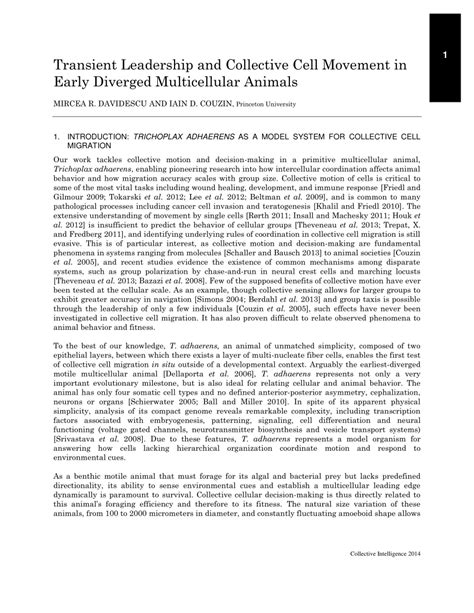 Pdf Transient Leadership And Collective Cell Movement In Early