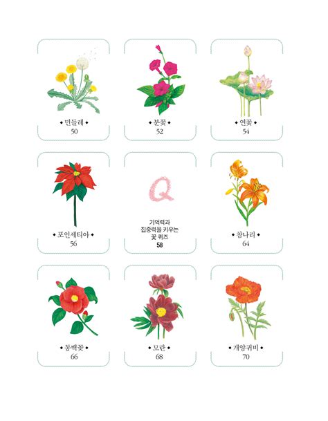 알라딘 미리보기 색연필로 그리는 꽃그림