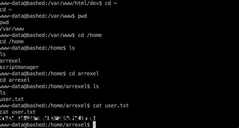 Bashed HackTheBox 喵喵喵喵 愚かな人間