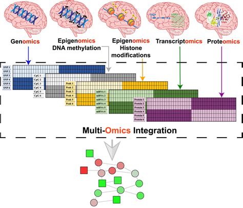 Overview Of Multi‐omic Integration In An Ideal Situation Different