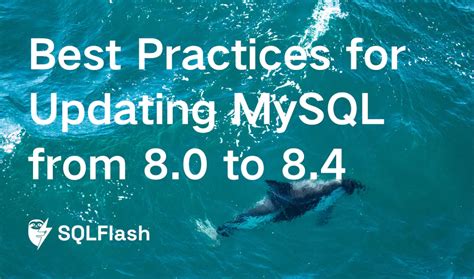 Best Practices For Updating Mysql From 80 To 84 Sqlflash
