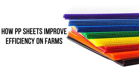 How Pp Sheets Improve Efficiency On Farms