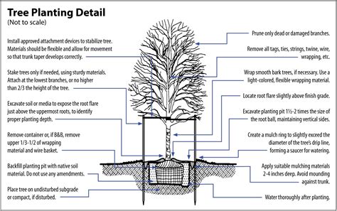 Tree Removal Rockland NY Shrub Tree Care Bergen NJ