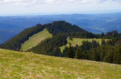 Marys Peak North Ridge Hike Hiking In Portland Oregon And Washington
