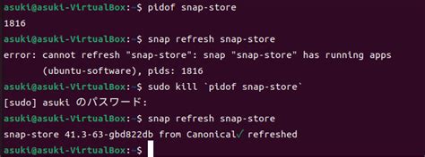 試行錯誤な日々 snap storeはコマンドで更新できる