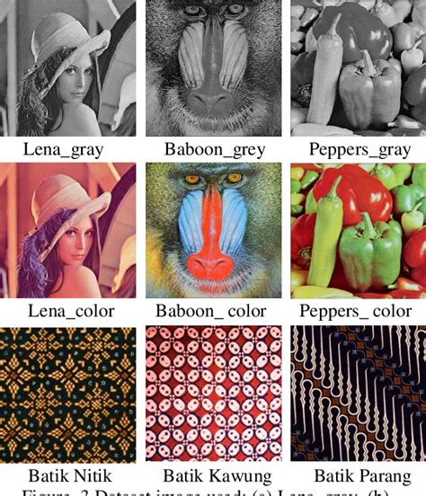 Figure 1 From A Combination Of Block Based Chaos With Dynamic Iteration