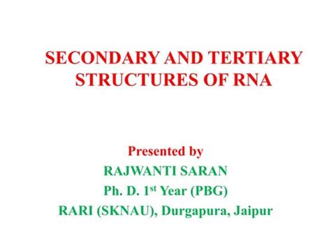 Rna Secondary Structure Prediction Ppt