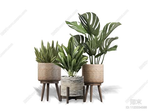 现代室内植物绿植盆栽psd免抠贴图下载【id1125554588】【知末网贴图库】