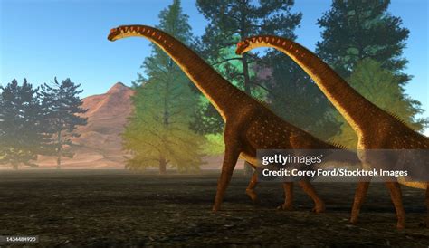 Two Giraffatitan Dinosaurs Roam A Prehistoric Landscape High Res Vector