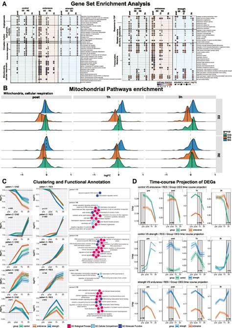 Molecular Profiling Of High Level Athlete Skeletal Muscle After Acute Endurance Or Resistance