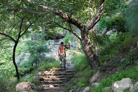 勇做新時代泰山「挑山工」 壹讀