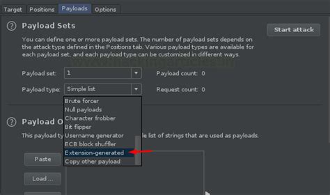 Burp Suite For Pentester Xss Validator