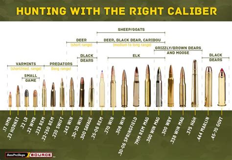 Bullet Size Chart For Rifles Rifle Bullet Size Chart Compari