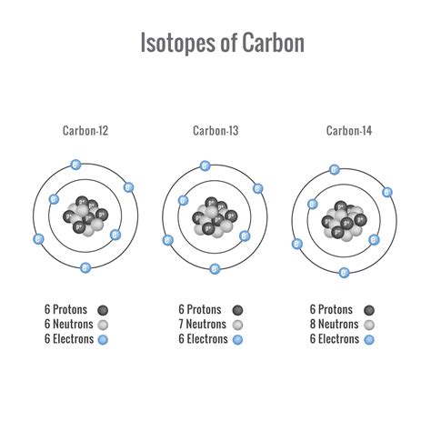 Carbon Isotopes Infographic Diagram Showing Comparison 47 Off