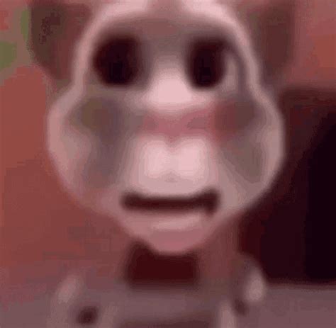 Talking Tom  Talking Tom Daleytwt Discover Share S My Xxx Hot Girl