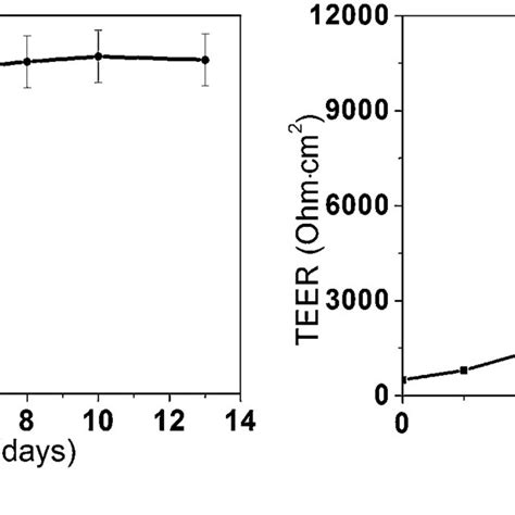 Typical Teer Values Of A Caco 2 Cell Monolayer Cultured A In A Download Scientific Diagram