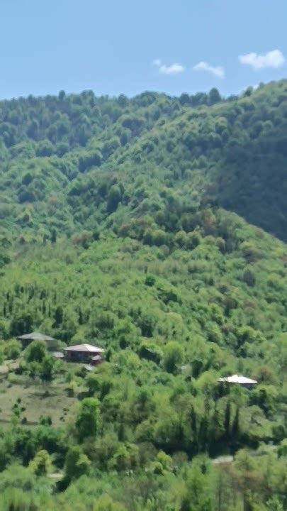 სამტრედიის რაიონი სოფელი ტოლები 17 04 2025 Youtube