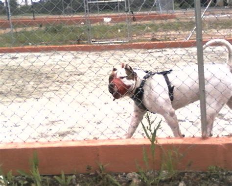 6 By Lucyferrier On Deviantart