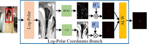 The Procedure Of Log Polar Coordinates Branch Which Is Used To