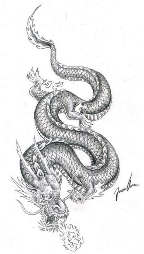 Dragon Sketch Tattoo