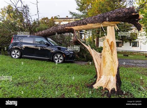A Severed Tree Is Seen Laying Atop Of Damaged Family Car In Driveway After Severe Storm Brings