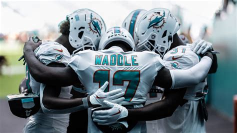 Miami Herald Dolphins Find The Latest News About Nfl Team The
